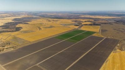 Undabri, Yambocully for sale in Border Rivers region - Grain Central