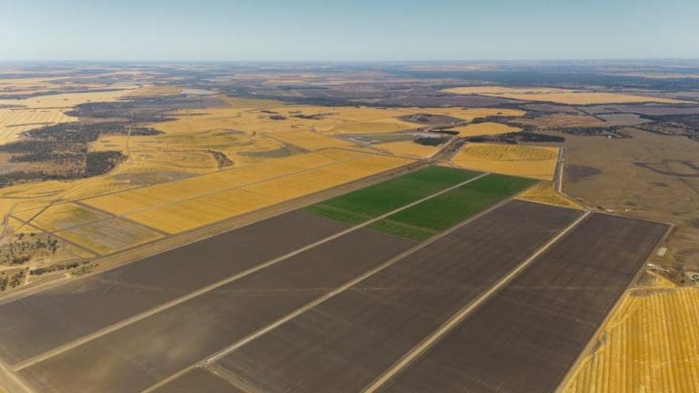 Undabri, Yambocully for sale in Border Rivers region - Grain Central