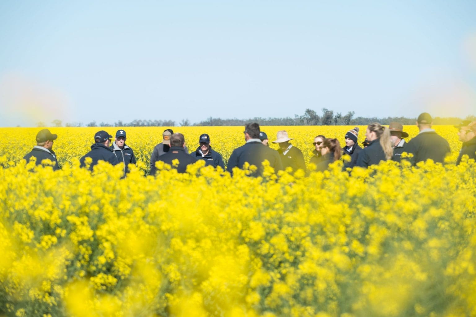 ABS reveals major production areas for wheat, barley, canola - Grain ...