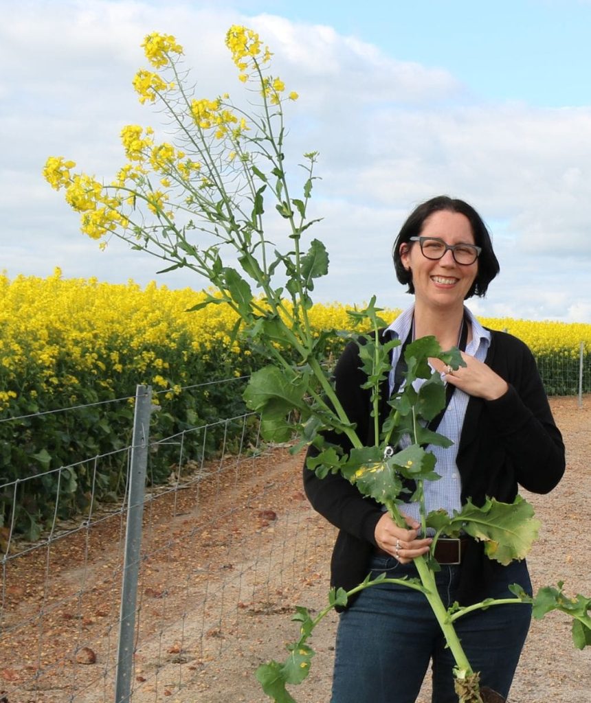 Digital tool to increase farm profitability, sustainability - Grain Central