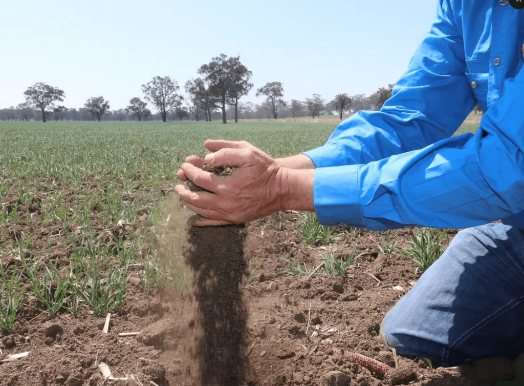 Clarevaulx, Mellool stations head latest NSW sales - Grain Central