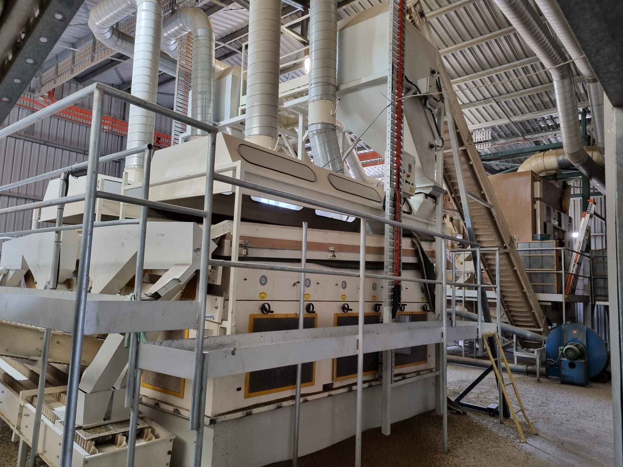 Pulse Update: Harvest peaks, rain buoys mungbean hopes - Grain Central