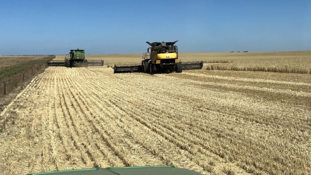 SA crop estimate ratchets up to 9.2Mt: PIRSA - Grain Central