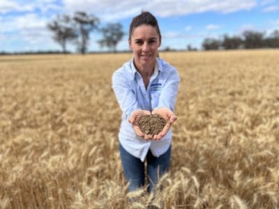 Riverine Plains launches soil-management project - Grain Central