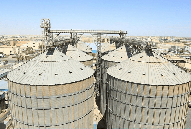Egypt snaps up Black Sea wheat - Grain Central