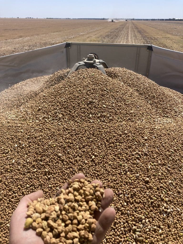 Aus ships 82,785t Oct chickpeas, 102,594t lentils - Grain Central