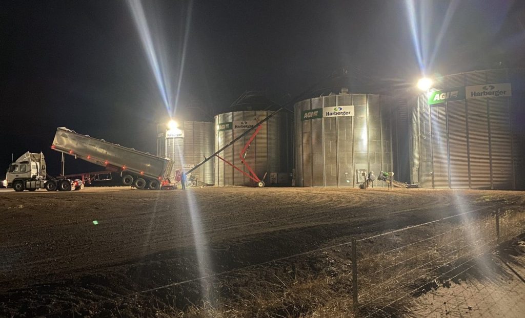 Feedgrain Focus: Quality holds ahead of next rain - Grain Central