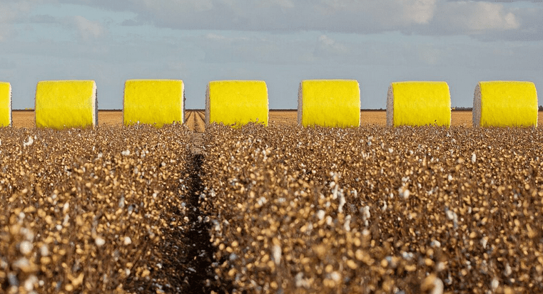 Commins Portfolio offers stellar Riverina asset - Grain Central