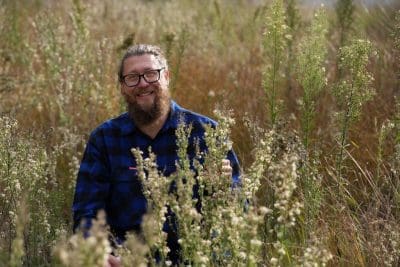 Is biological control of flaxleaf fleabane practical? - Grain Central