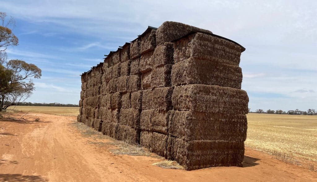 Exposed hay downgraded after rain events: Feed Central - Grain Central