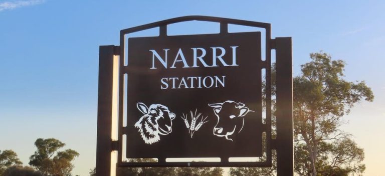 NSW plains holdings Winooka, Narri, Warrabone list - Grain Central