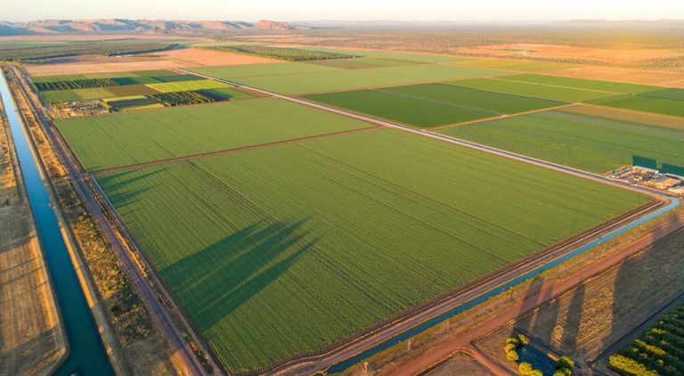 Ord lease finalisation a boon for irrigated cropping - Grain Central