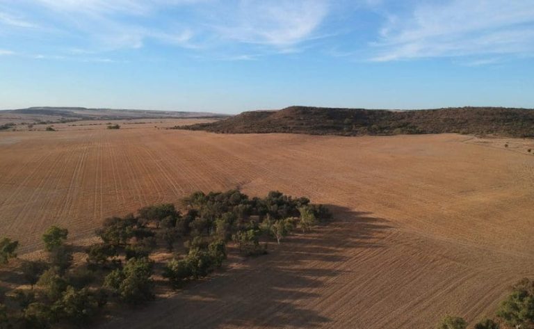 Wheatbelt, Mid West properties among WA listings - Grain Central