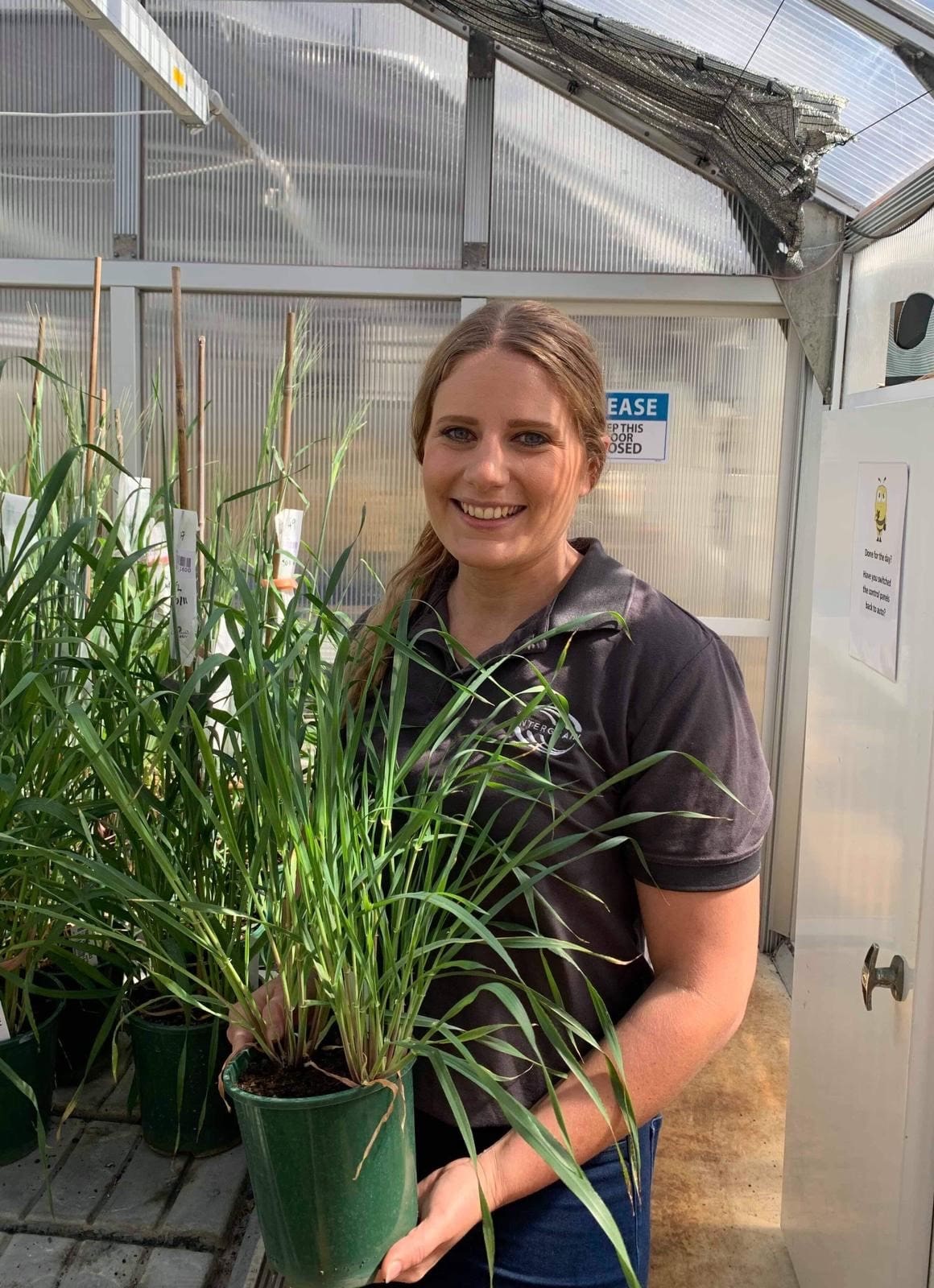 Twin role speeds path of research into improving varieties - Grain Central