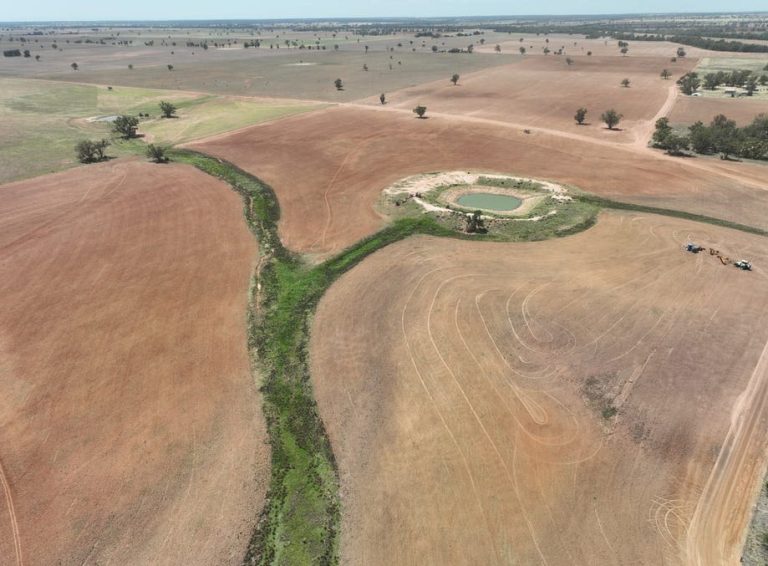 NT's Silkwood, Tuwinga and Glenara in NSW list - Grain Central