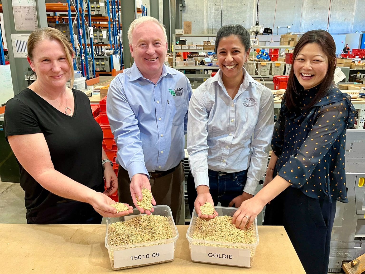 Consortium to capitalise on growing global oat demand - Grain Central