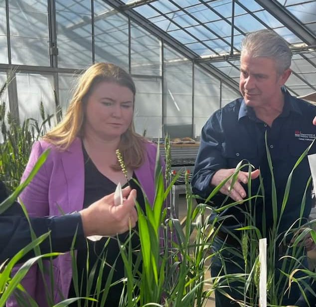 NSW method holds promise for improved pathogen resistance - Grain Central