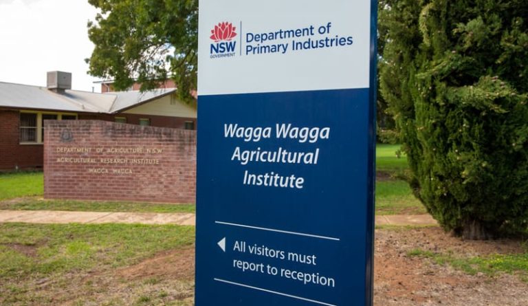 NSW method holds promise for improved pathogen resistance - Grain Central