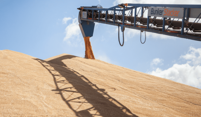 Australia exports 1,596,844t wheat in May - Grain Central