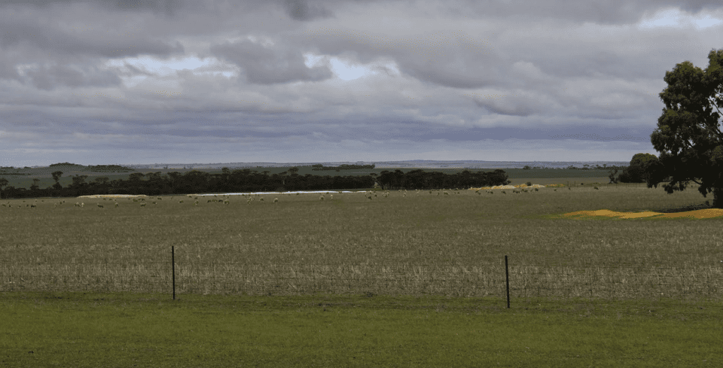 WALT Portfolio among latest WA listings - Grain Central