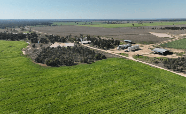Qld's Jindabyne sells locally, Mungindi farms list - Grain Central