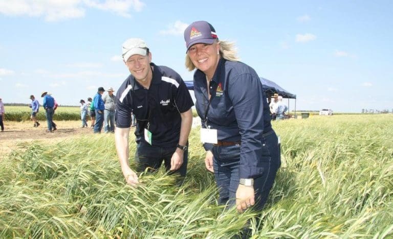 Mort & Co, Boolah program to deliver grain, backload fertiliser - Grain ...