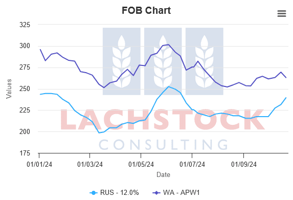 Daily Market Wire 25 October 2024 - Grain Central