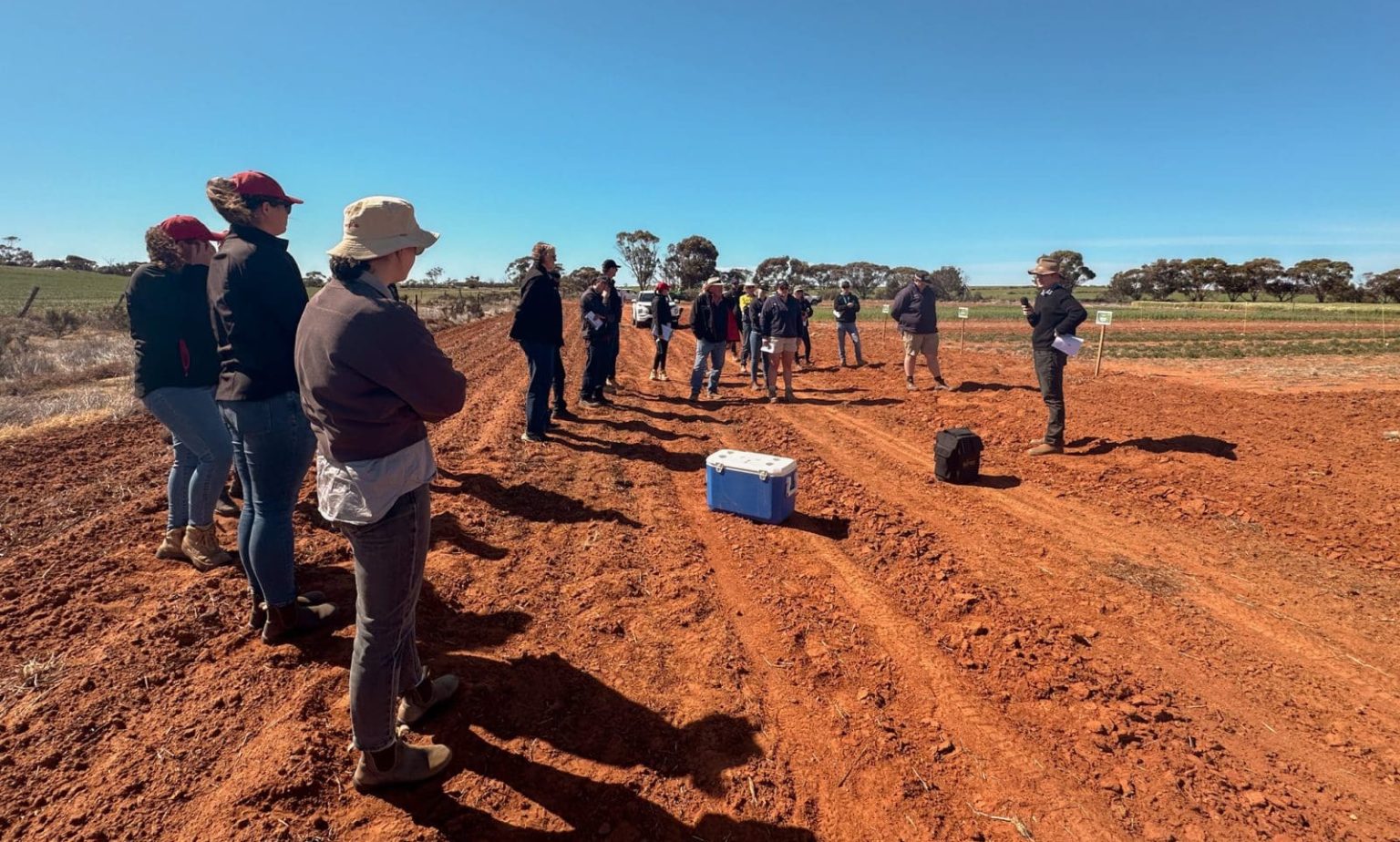 Rotations throw up different benefits in Vic Mallee - Grain Central