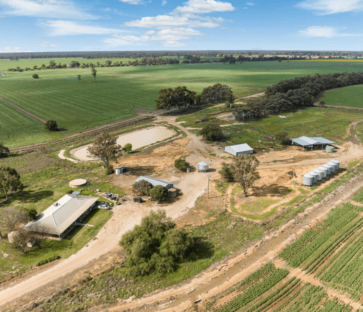 Adjoining WA farms, Vic's Murrabit up for sale - Grain Central