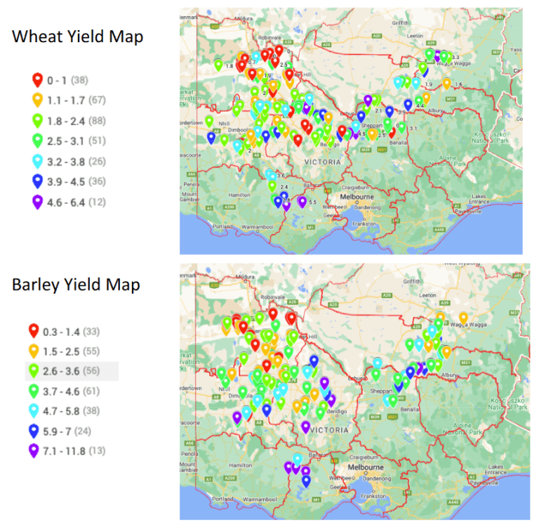 Australia : GIAV tour forecasts Vic wheat crop at 3.4Mt, barley 2.6Mt ...