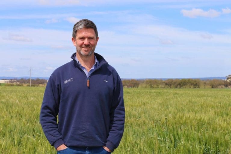 AGT releases new barley, wheat varieties - Grain Central