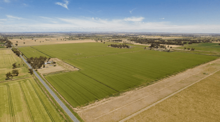 Excel Farms, Kilter Rural list aggregations - Grain Central