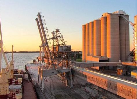 Record wheat imports forecast for Morocco - Grain Central