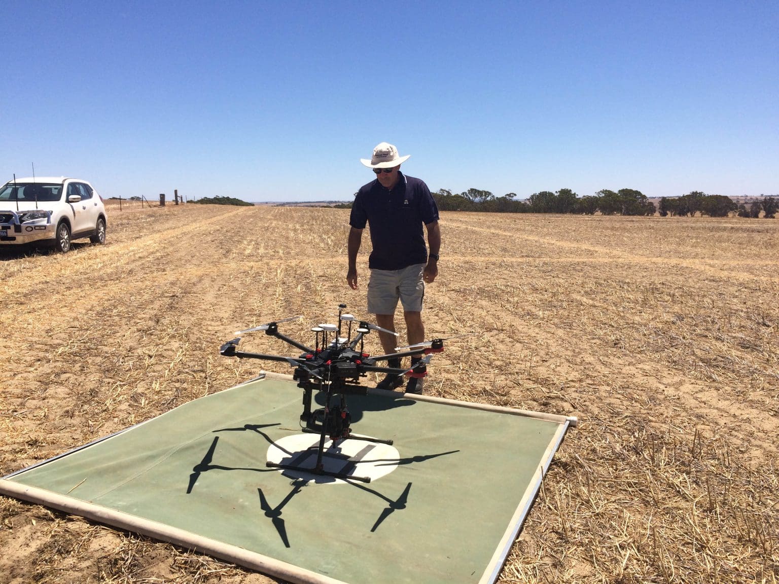 WA's summer skeleton weed program makes progress - Grain Central