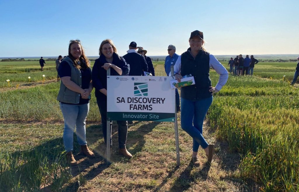 SA launches climate-smart farming trials - Grain Central