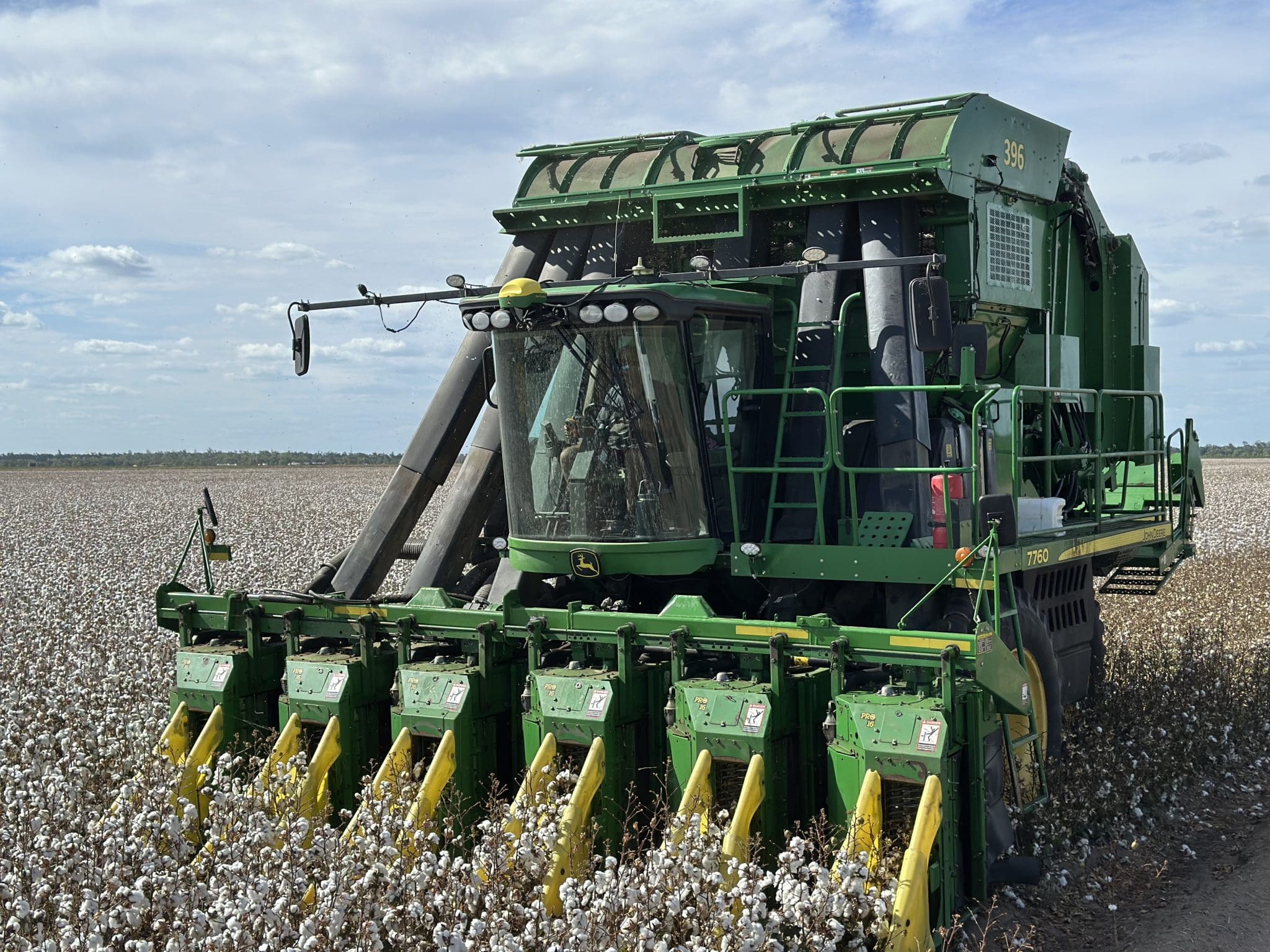 Picking of cotton crop seen at 4.8M+ bales starts in CQ - Grain Central