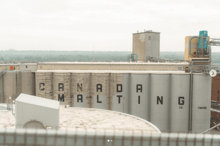 Trump policy tipped to hit Canadian maltsters hard: MaltNews - Grain ...