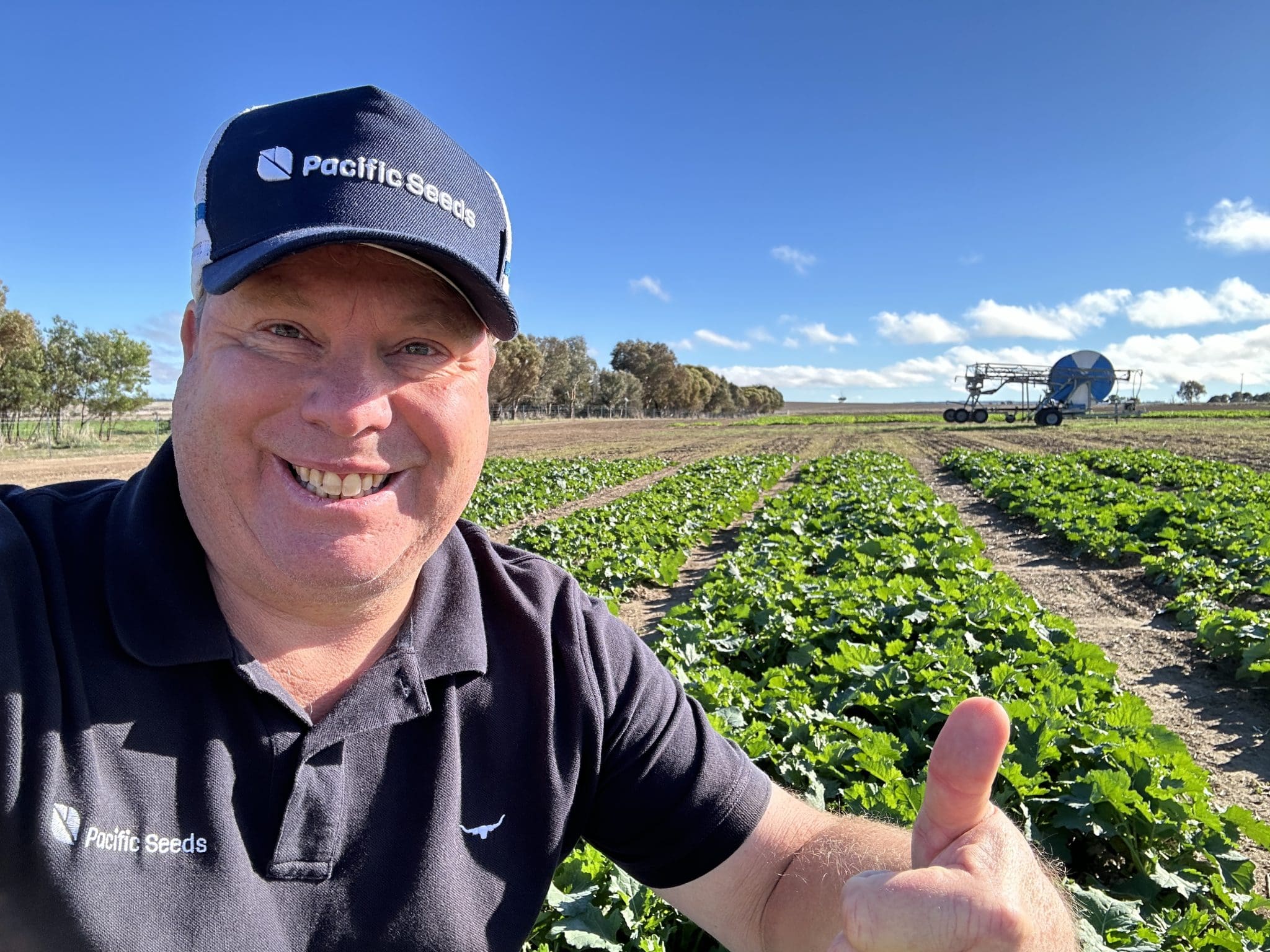 Confidence high for next canola crop despite tariff jitters - Grain Central