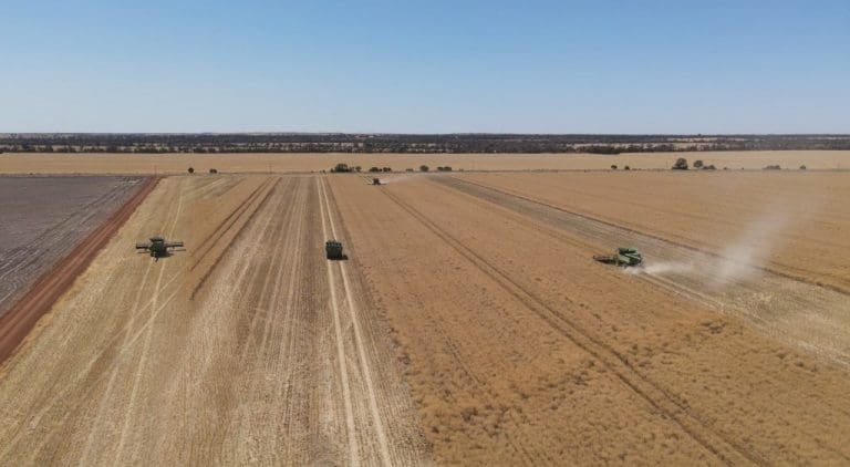 Mormon Church buys three-farm North Star Aggregation - Grain Central