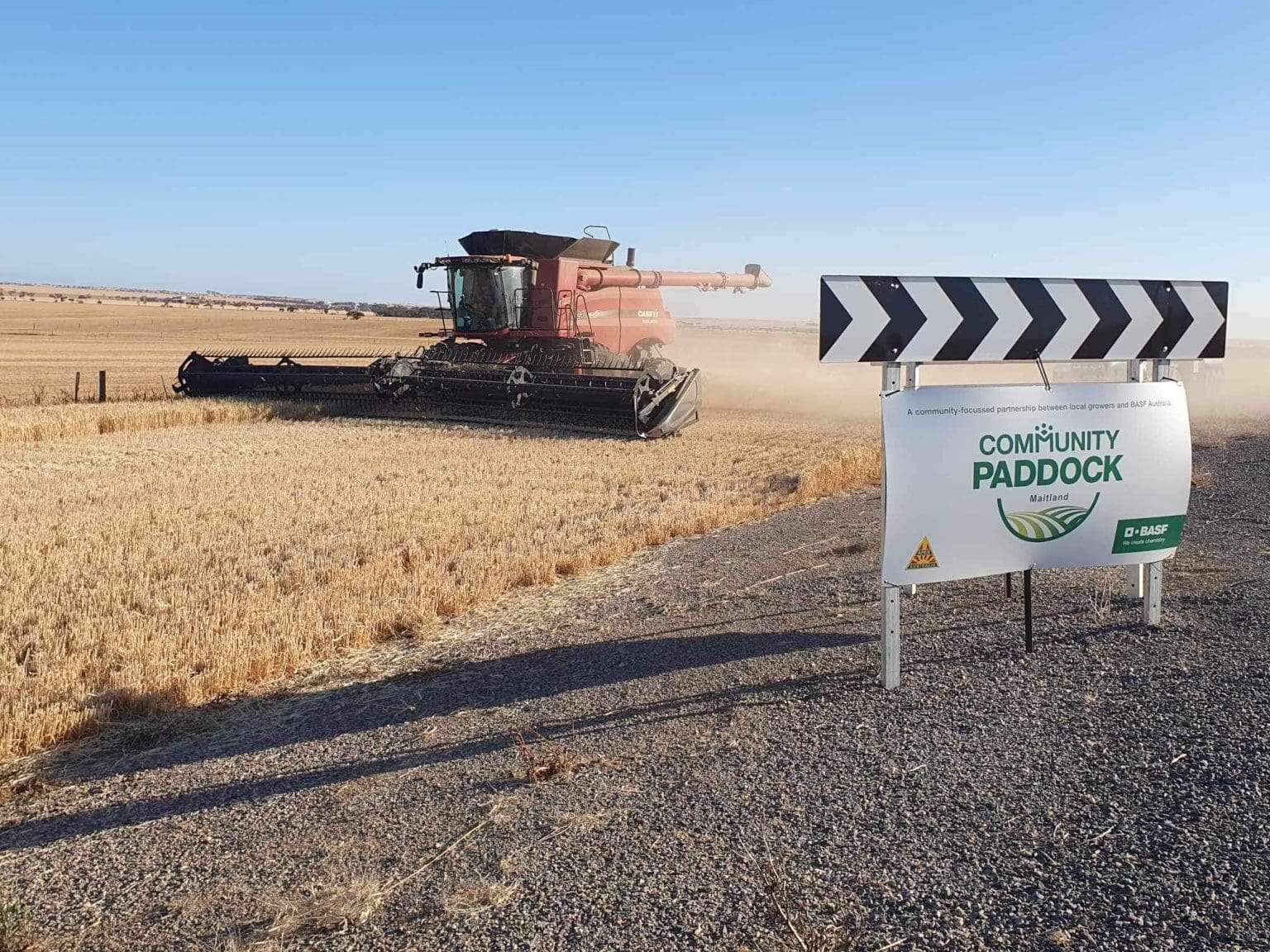 ABARES lifts forecasts for wheat, barley, canola - Grain Central