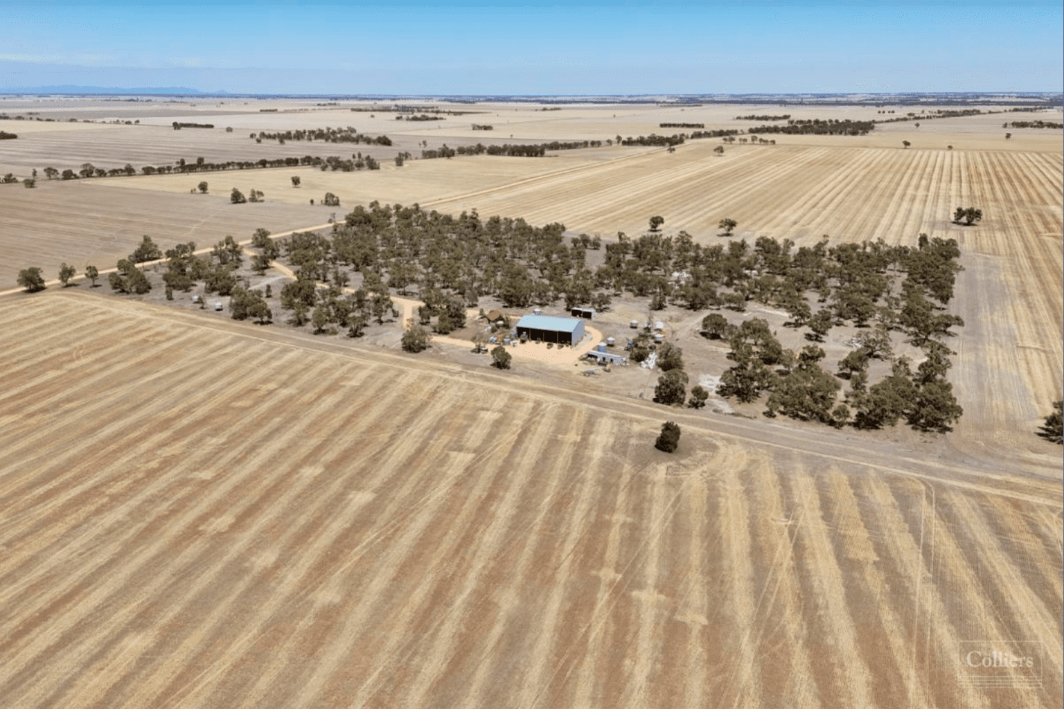 EP, Wimmera country lists, Downs' Middle Creek sale postponed - Grain ...