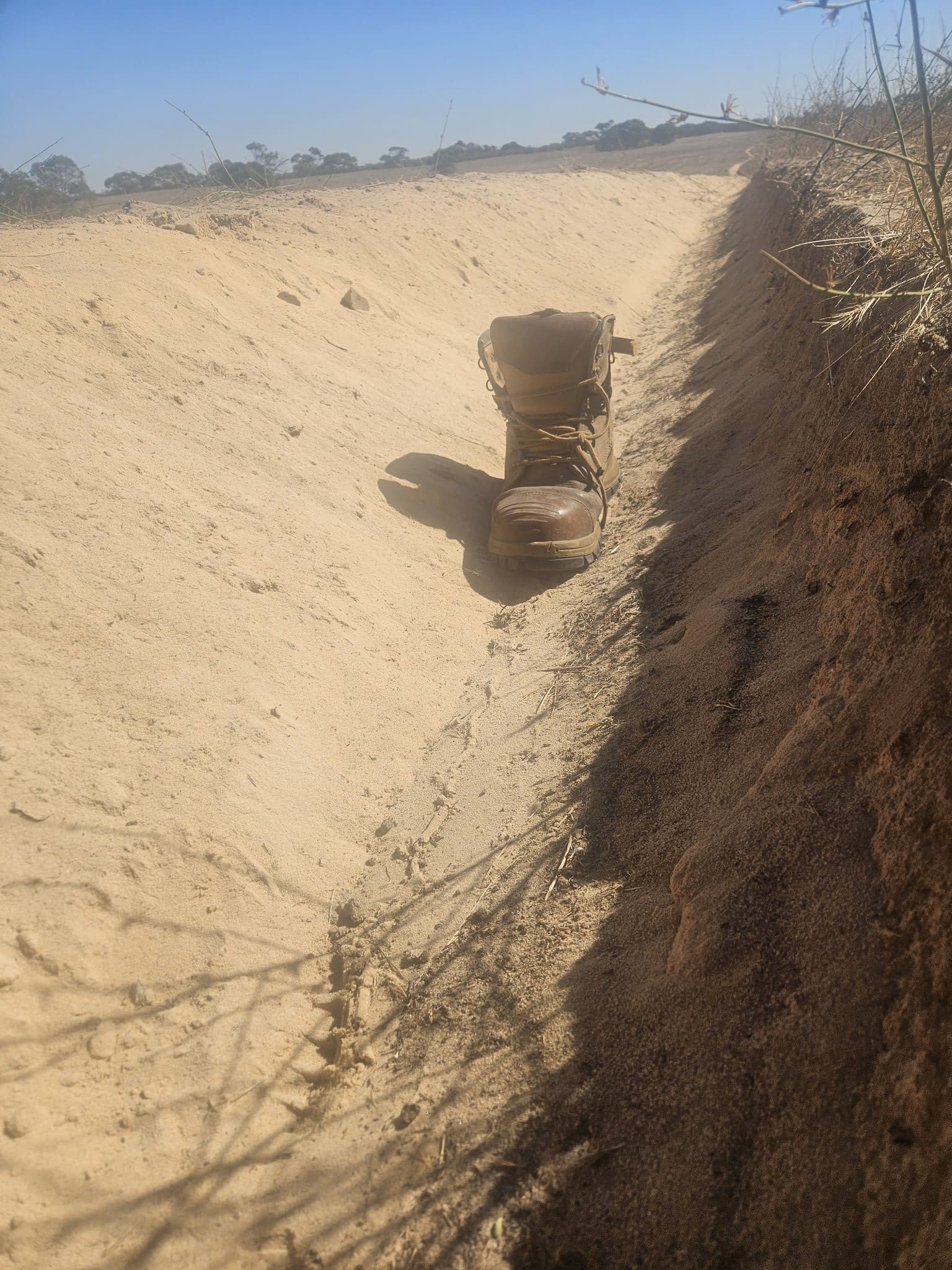 South Australian roundtable to unlock drought assistance - Sheep Central