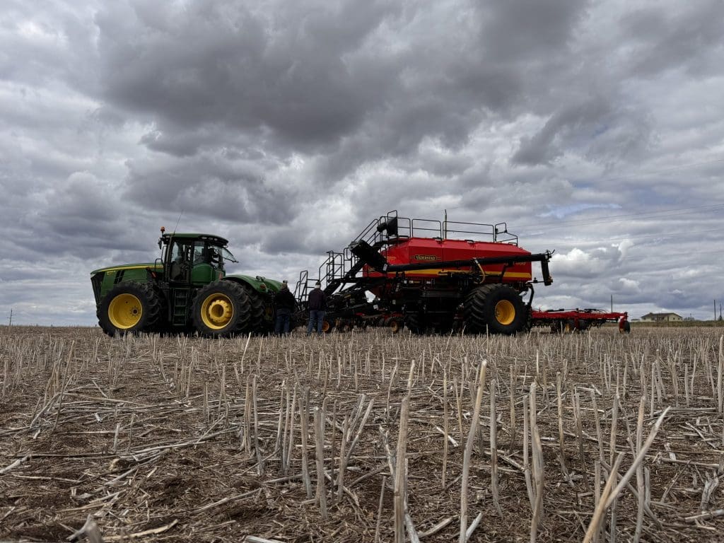 Bearish wheat outlook from the USDA - Grain Central