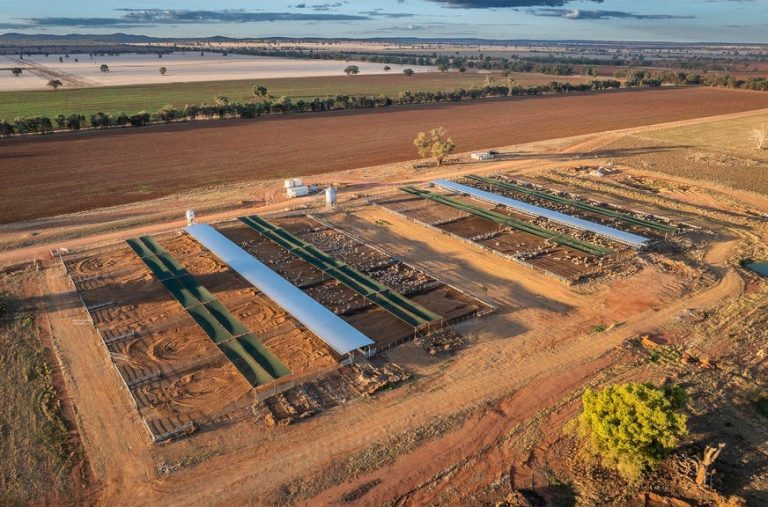 NSW scale, quality on offer with Tara Moira, Monwonga, Mitolo - Grain ...