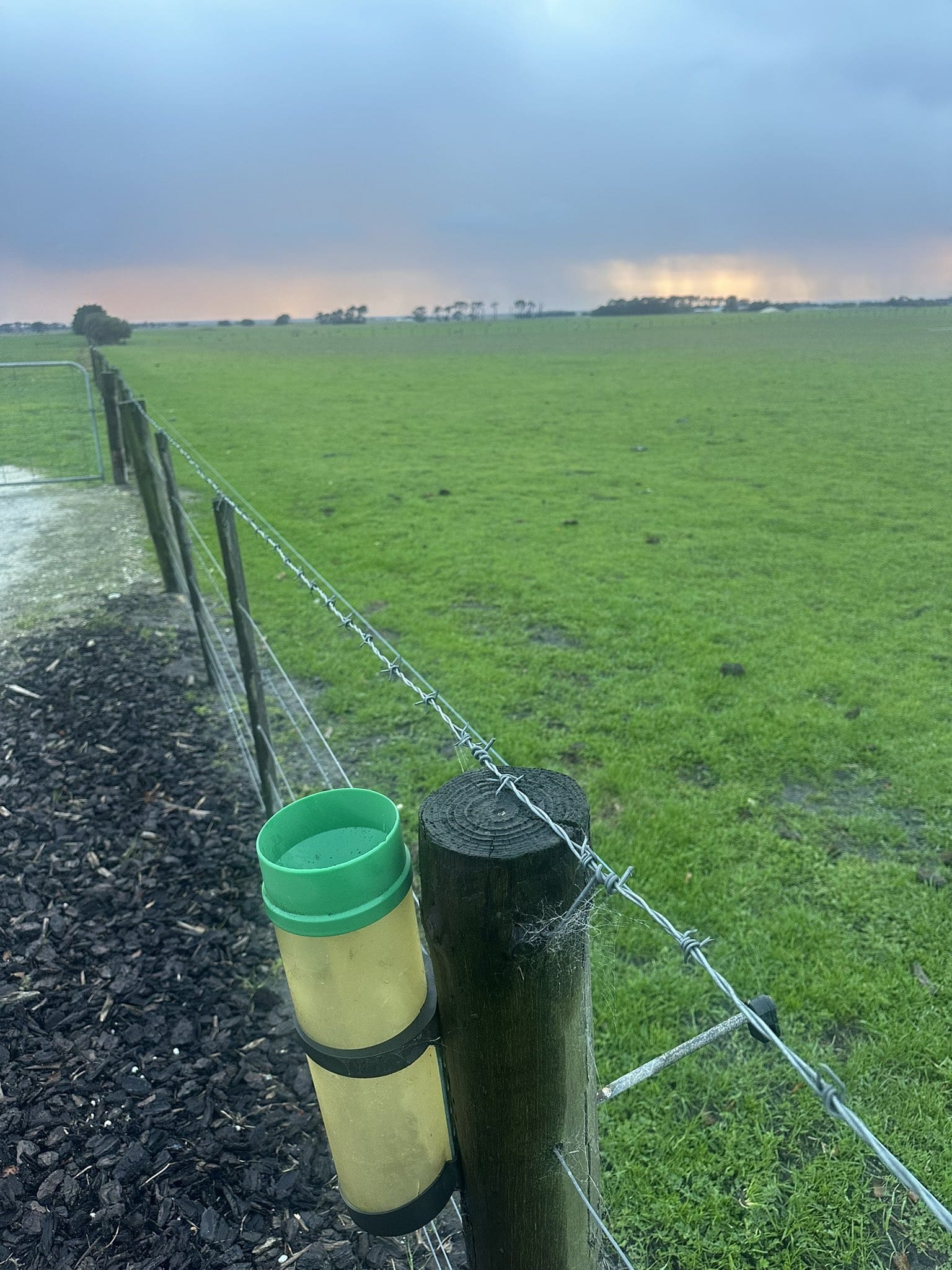 Rain more miss than hit for drought-stricken SA - Grain Central