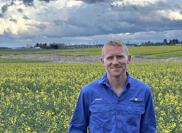 Crusher spells out chances for SAF in Nuffield report - Grain Central