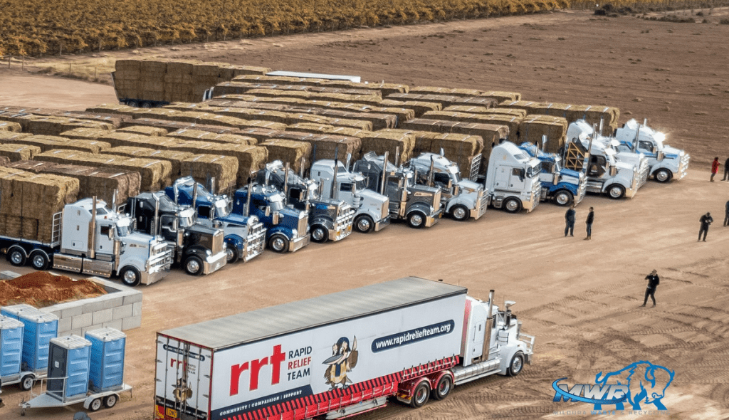 Hay market still hot after rain in South Australia and Victoria - Sheep Central