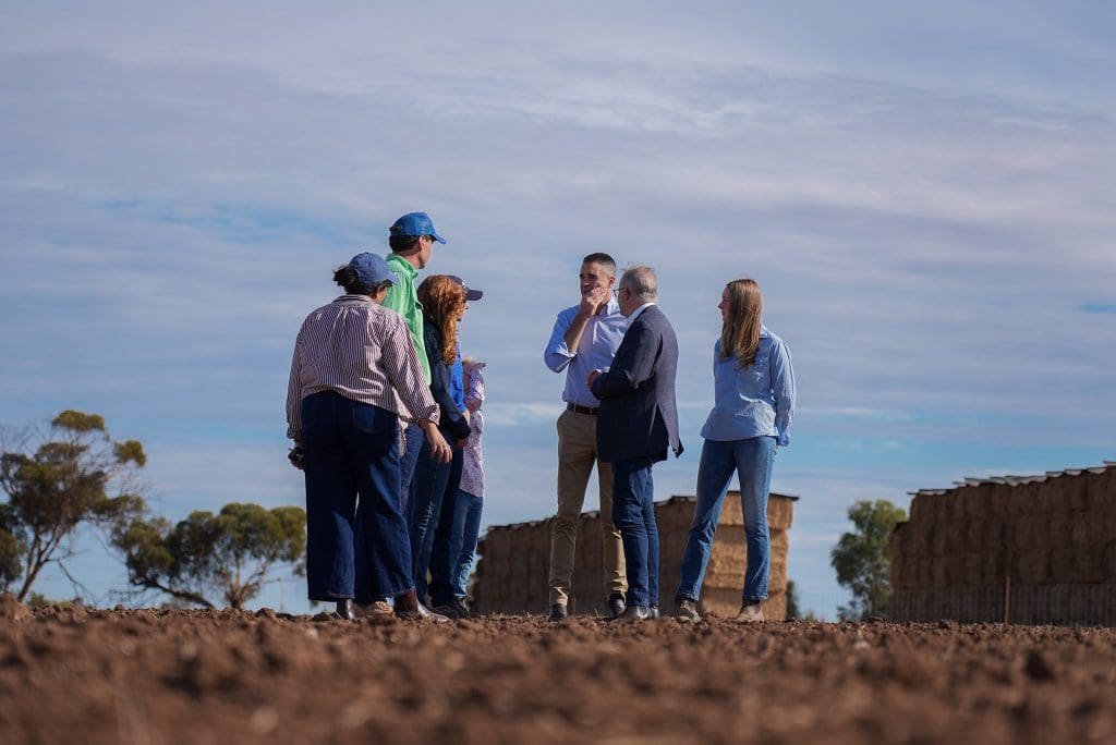 Eyes on SA ahead of its budget, forecast rain - Grain Central