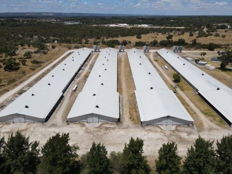 ProTen sale tops latest poultry movements - Grain Central