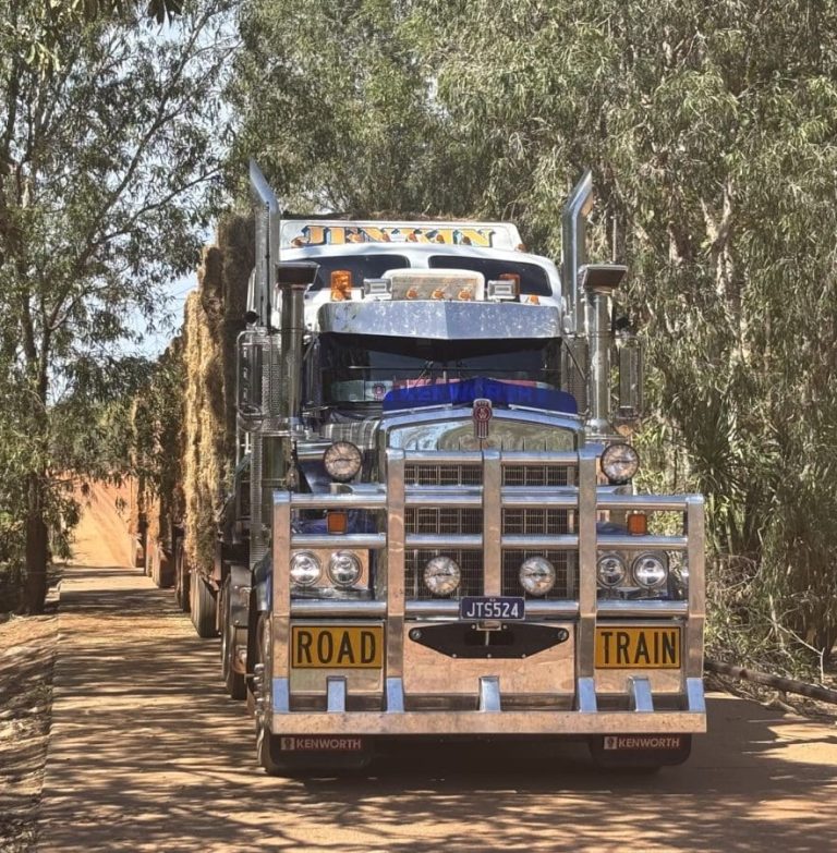 Cavalcade captures south's interest in NT hay - Grain Central